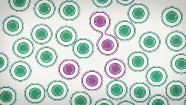 Are we fighting cancer the right way? - BBC News