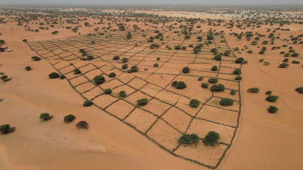 Nature loss: Insatiable greed degrading land around the world - UN ...