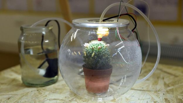 Kids' wacky inventions made real