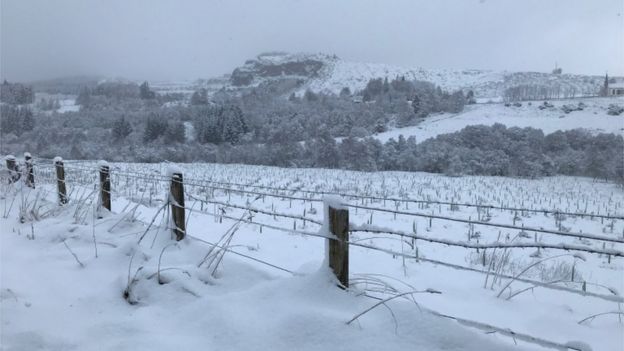 Your pictures of snow around Scotland - BBC News