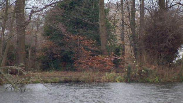 Poynton Pool: Hundreds object to tree removal plans - BBC News