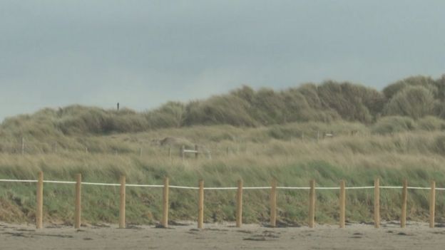 Bid to save Tyrella beach sand dunes with conservation project - BBC News
