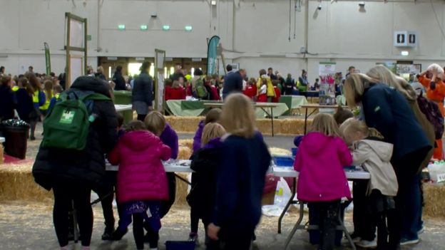 Children 'roll up their sleeves' at Farmwise Devon event - BBC News