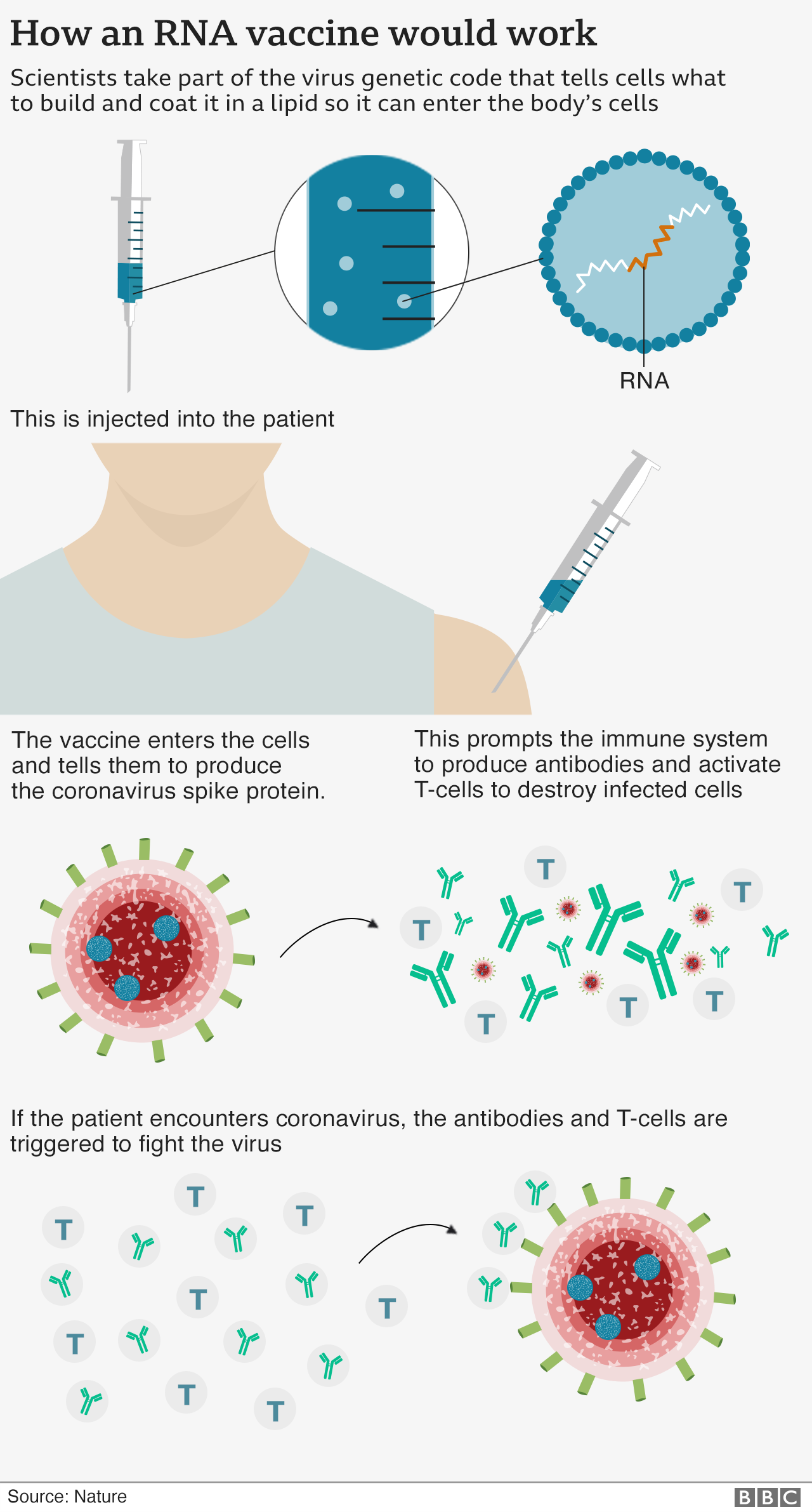 Covid-19: Normal life back next winter, says vaccine creator - BBC News