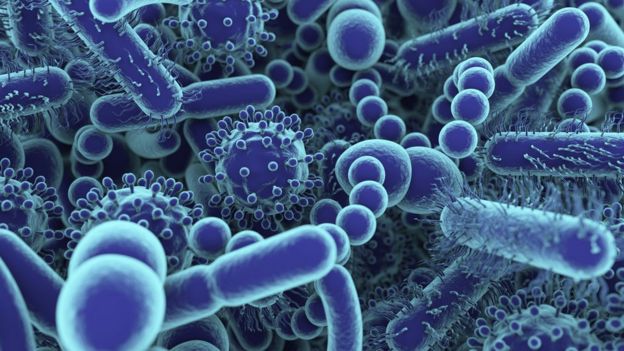 Qué son los pandoravirus y por qué algunos científicos dudan de que en ...