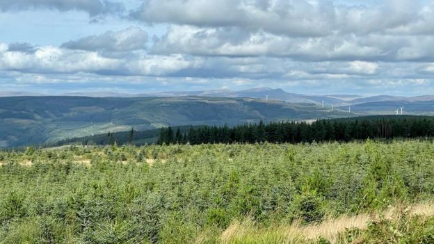 Afan Valley: Green light for £250m adventure resort - BBC News