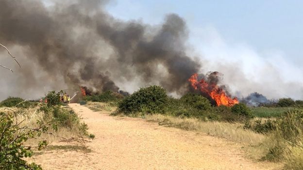Field catches fire on outskirts of Ipswich - BBC News