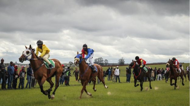 Traditional horse-racing in South Africa's Eastern Cape - BBC News