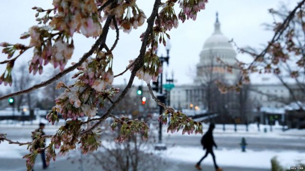 Gallery: Eastern US storm - BBC Weather