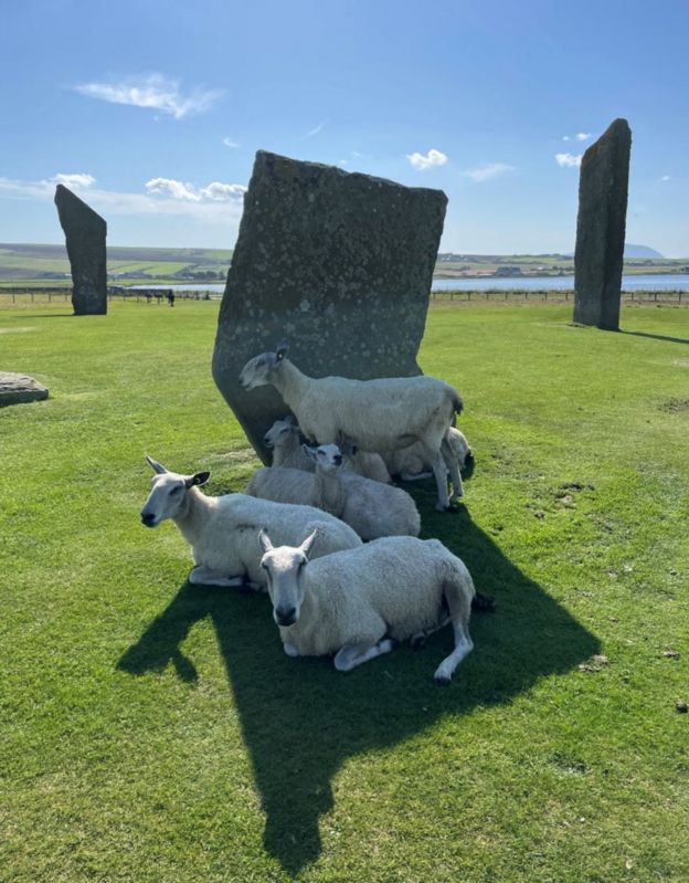 Your pictures of Scotland: 8 - 15 September - BBC News