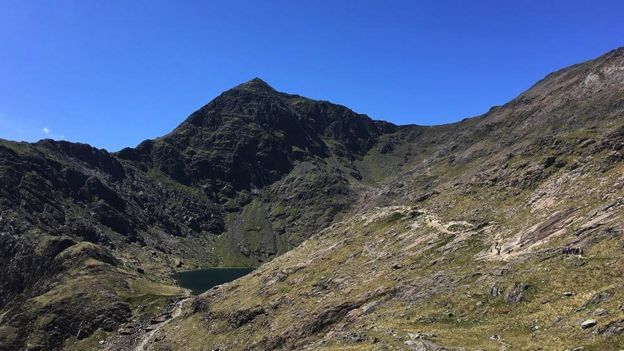 Newyddion a mwy - BBC Cymru Fyw