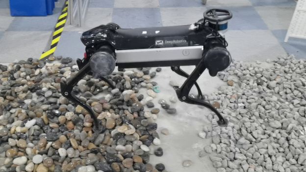 Puppy training a robotic dog points to the future - BBC News
