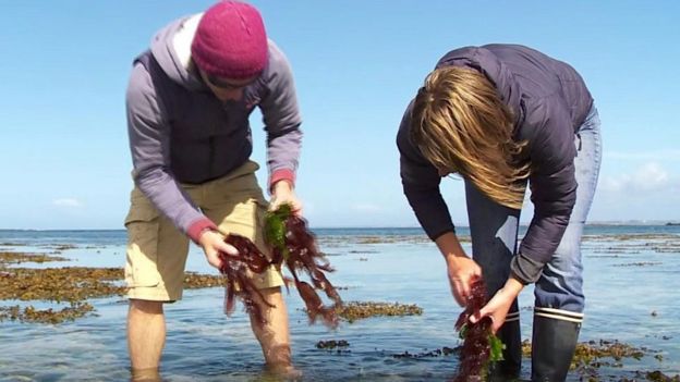 Man living alone on Italian island to leave after 32 years - BBC News
