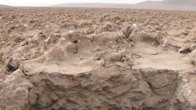 Earth’s driest desert once had lakes - BBC News