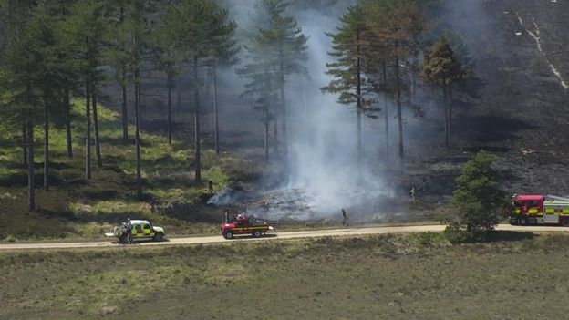Wareham Forest fire flare-ups continue to spread after six days - BBC News