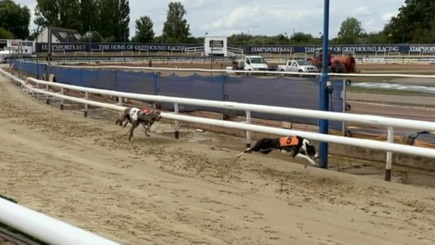 Greyhound racing to return to Oxford after a decade - BBC News