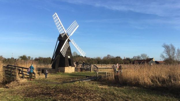 National Trust's Wicken Fen reserve joins European 'rewilding' network ...