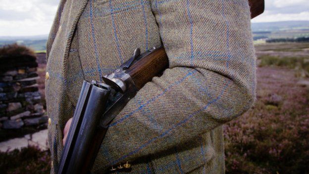 Growing call for grouse shooting ban as season opens - BBC News