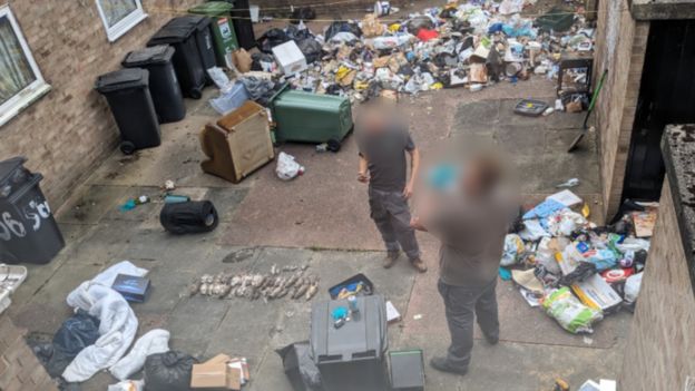 Hartlepool flats: Rats infestation caused by dumped rubbish - BBC News