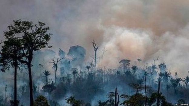 Climate change: Met Office launches new experiment in Amazon rainforest ...