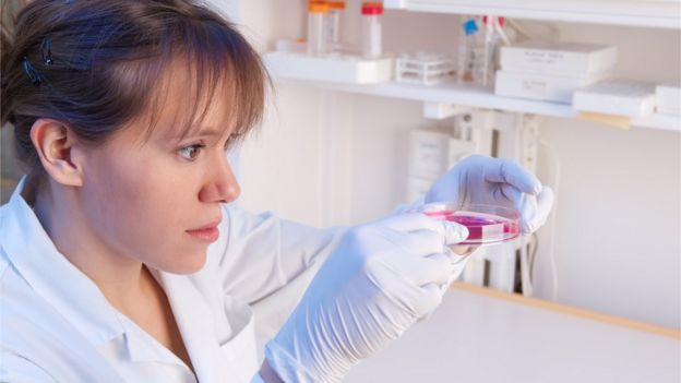 The risks behind the hype of stem-cell treatments - BBC News