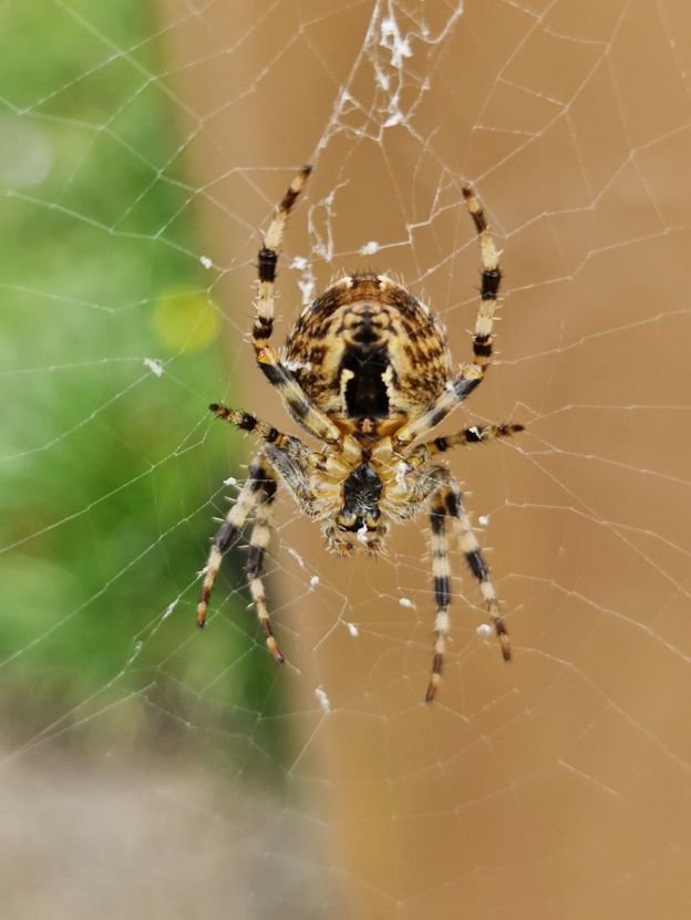 Your pictures of Scotland: 15-22 September - BBC News