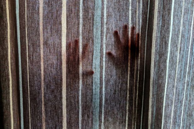 Your pictures on the theme of 'hidden' - BBC News