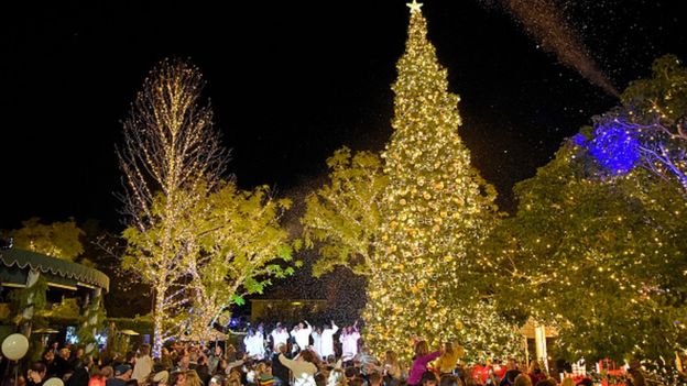Christmas trees from around the world - BBC Newsround