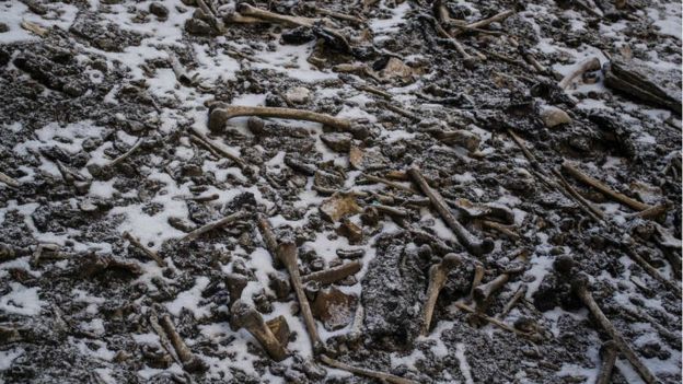 The mystery of India’s ‘lake of skeletons’ - BBC News