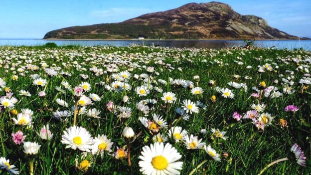 Your pictures of Scotland 24 April - 1 May - BBC News
