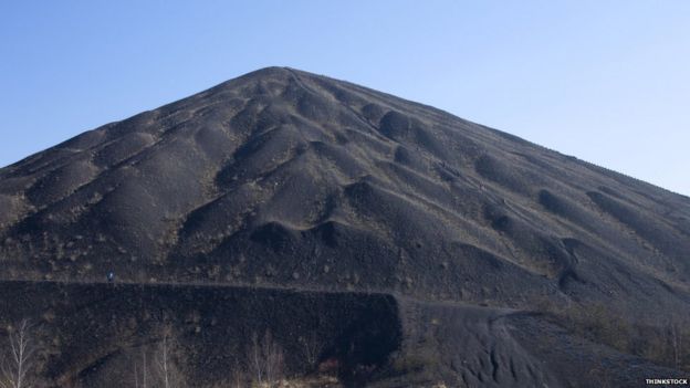 Making a vineyard out of a slag heap - BBC News