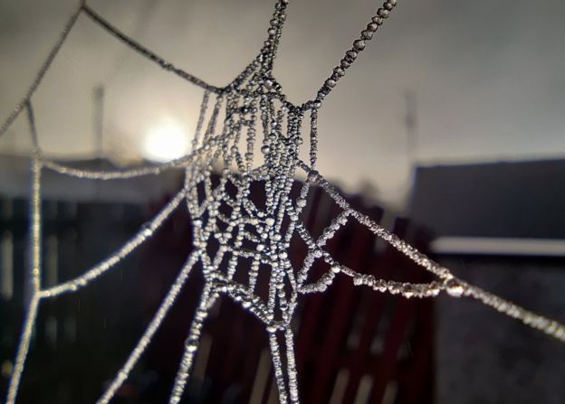 Your pictures of Scotland 15 - 22 January - BBC News