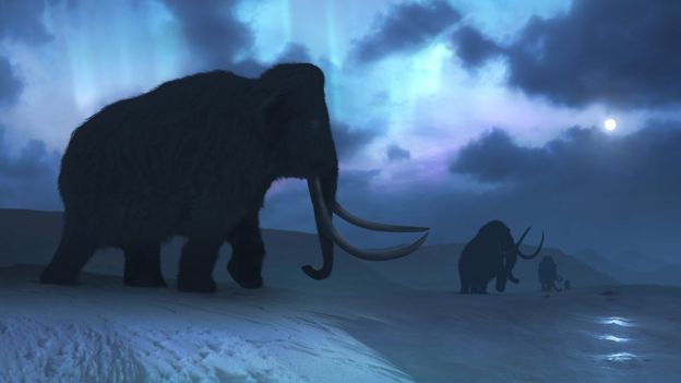 Baby woolly mammoth found frozen in ice in Canada - BBC Newsround