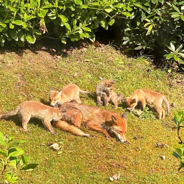 Your pictures of Scotland: 6 -13 May - BBC News