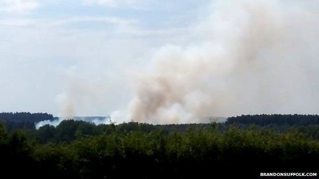 Firefighters tackle large blaze at Thetford Forest - BBC News