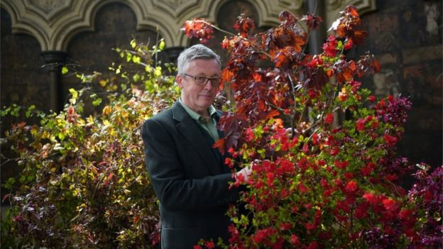 Coronation flowers: Shane Connolly's floral arrangement fit for a king ...