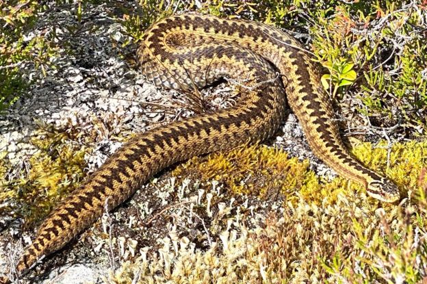 Your pictures of Scotland: 24 June - 1 July - BBC News