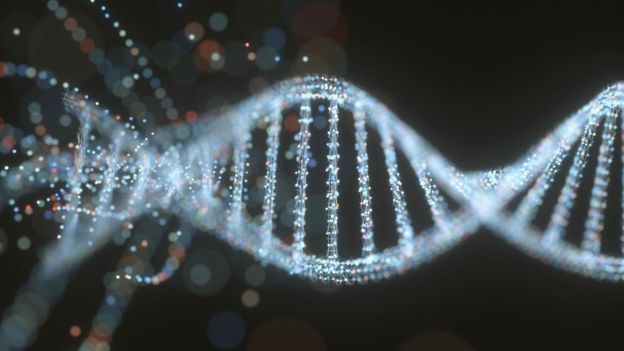Scientists claim big advance in using DNA to store data - BBC News