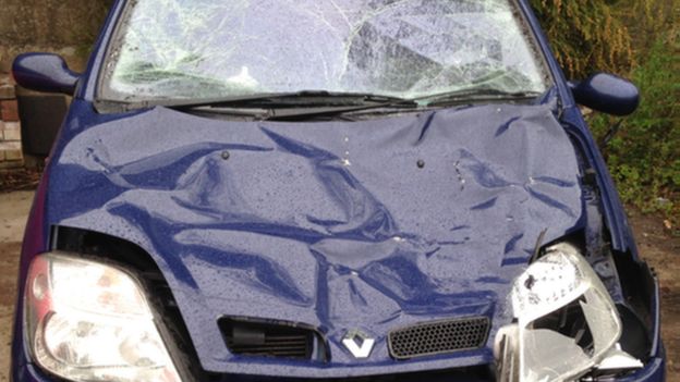 Woman 'could have been killed' in 40mph crash with cow - BBC News