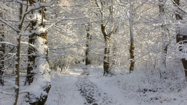 Your pictures of snow around Scotland - BBC News