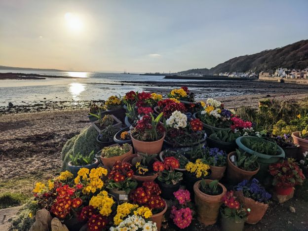 Your pictures of Scotland: 25 March - 1 April - BBC News