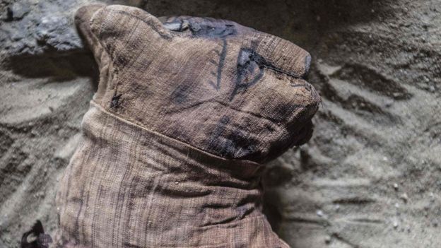 Egypt cat mummies discovered in ancient tombs - BBC News