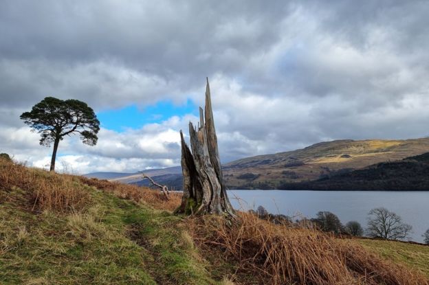 Your pictures of Scotland: 11 - 18 March - BBC News