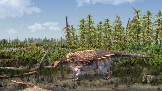 Ankylosaur: New dinosaur species discovered on Isle of Wight - BBC ...