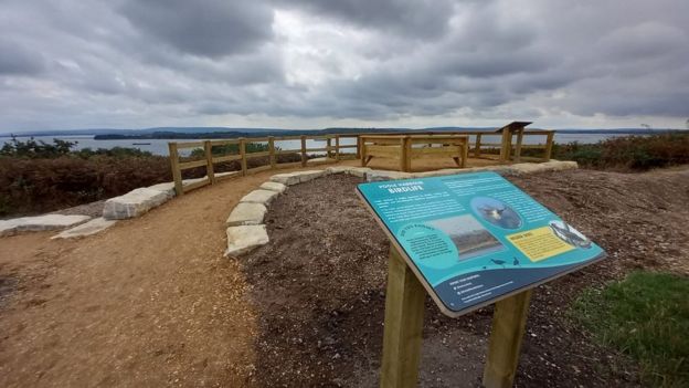 Poole Harbour osprey and white-tailed eagle viewing deck opens - BBC News