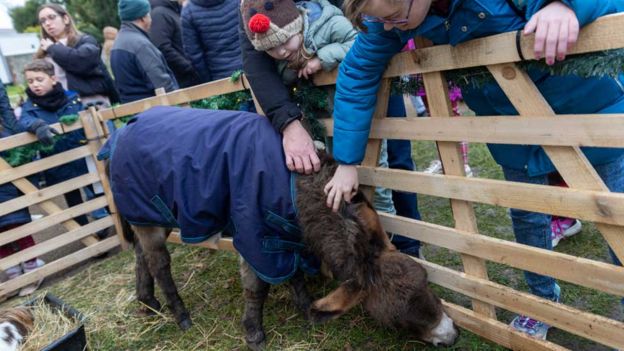 St Albans Cathedral: Hundreds follow live nativity trail - BBC News