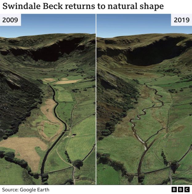 How 'rewiggling' Swindale Beck brought its fish back - BBC News