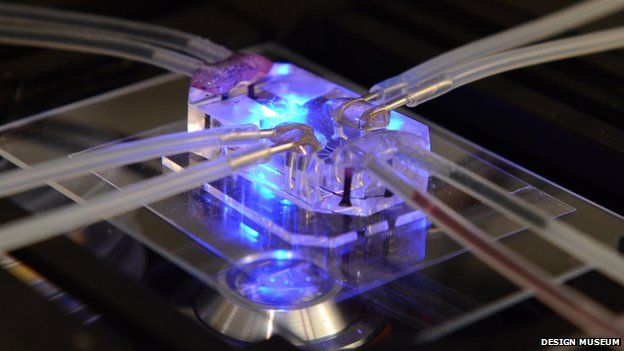 'Organs-on-chips' wins design award - BBC News