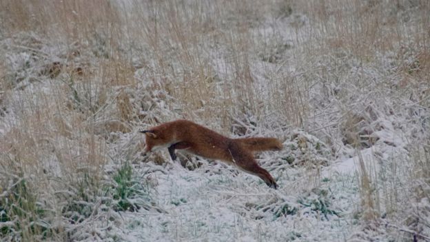 Your pictures of Scotland: 15-22 January - BBC News