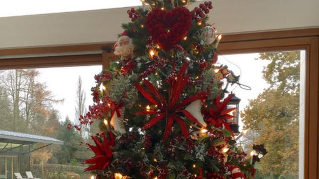 Everton manager changes 'red' Christmas tree after fans' complaints ...